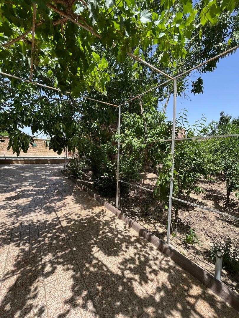 فروش فوری ویلا زیرقیمت در درختی سهیلیه+فیلم | zamiin